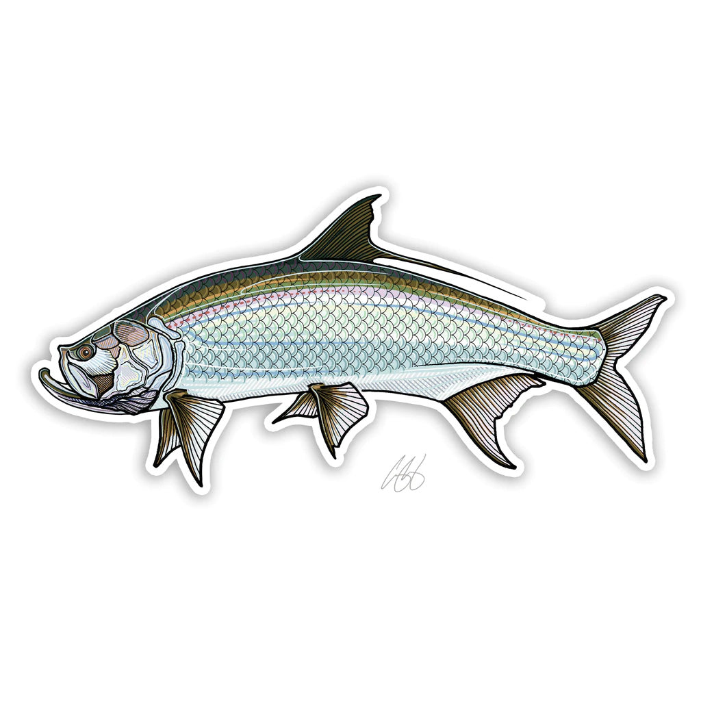 Tarpon sticker